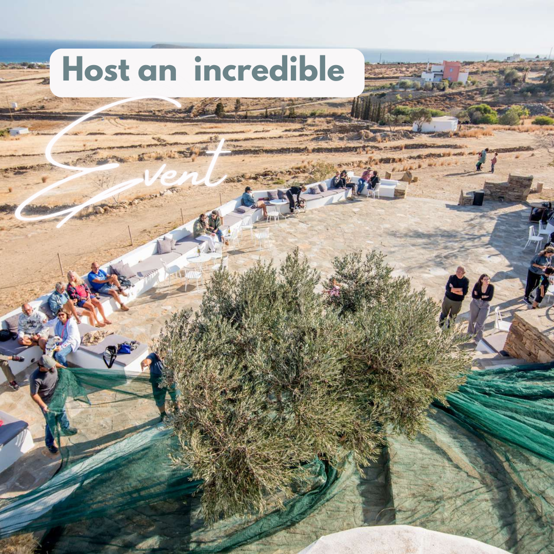 The Secret View: Where Unforgettable Moments Come to Life